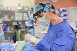 About Me - Dr Jason Roth | Sydney